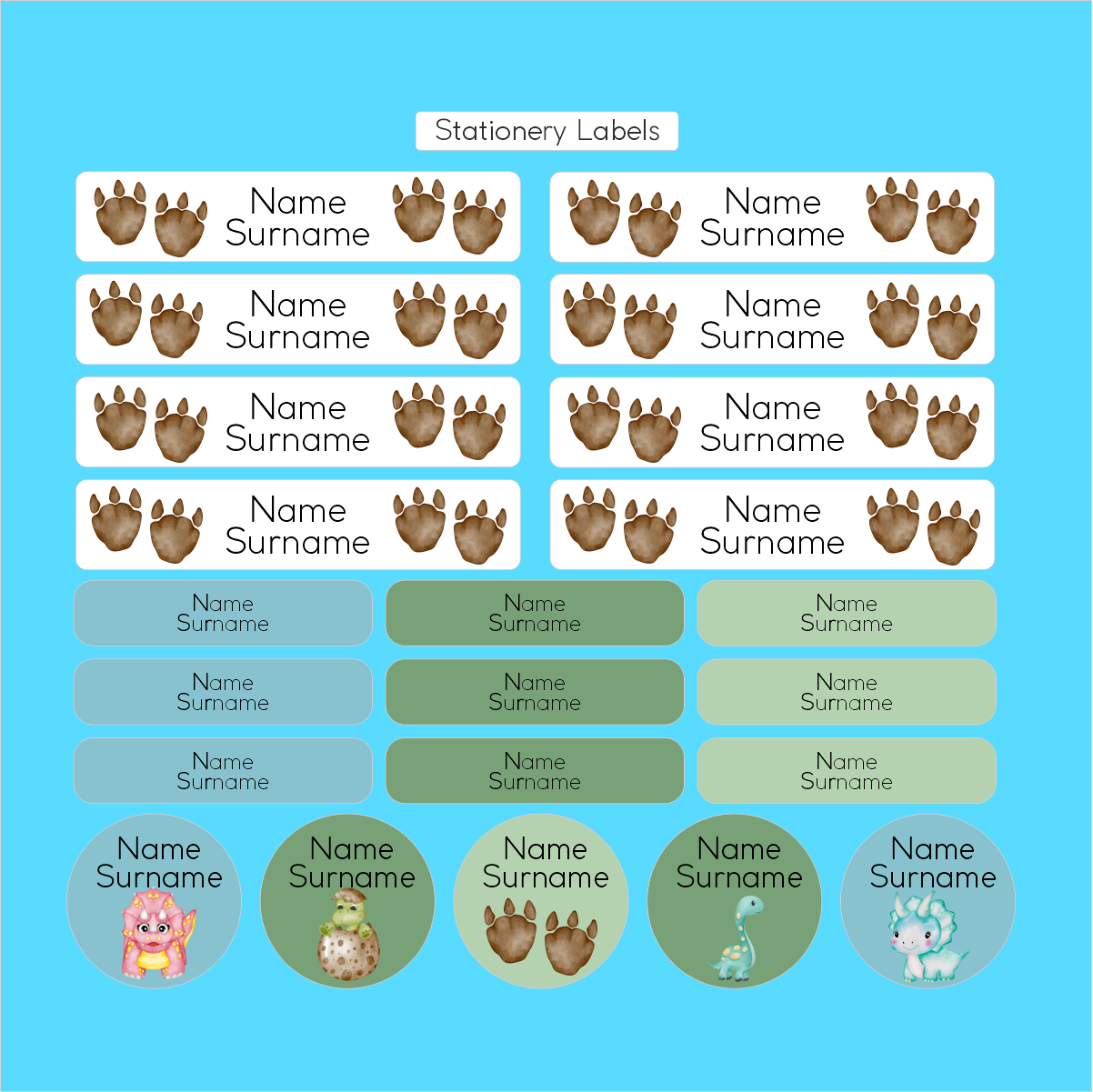 Baby Dino Pre-Primary Label Combo – Coral Designs